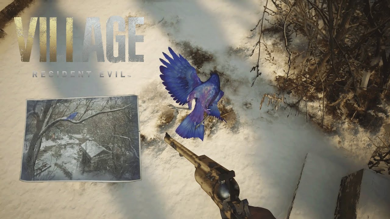 PHOTO OF A STRANGE BIRD - Blue Bird Hunting Location | Resident Evil ...