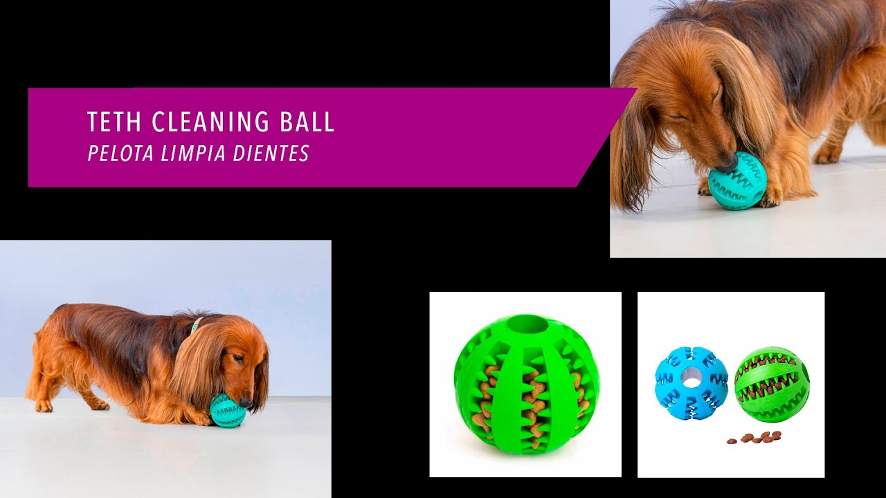 IBÁÑEZ TEETH CLEANING BALL - YouTube