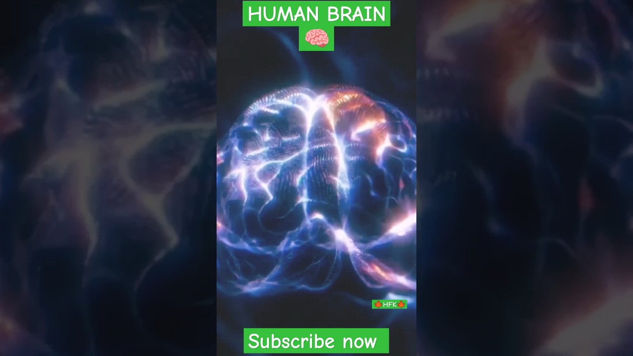 HUMAN BRAIN 🧠 #shorts #short #shortvideo ##viral #trending #youtube # ...