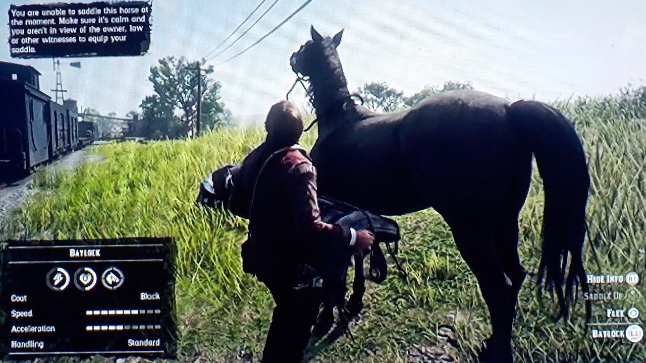 Red Dead Redemption 2 How I Was Able To Put My Saddle On Baylock - YouTube