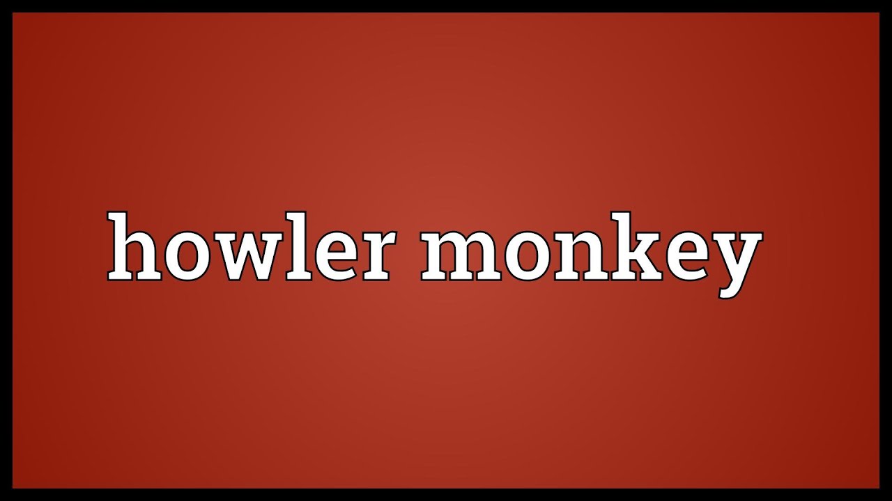 Howler Monkey Meaning YouTube howler-monkey-meaning-youtube