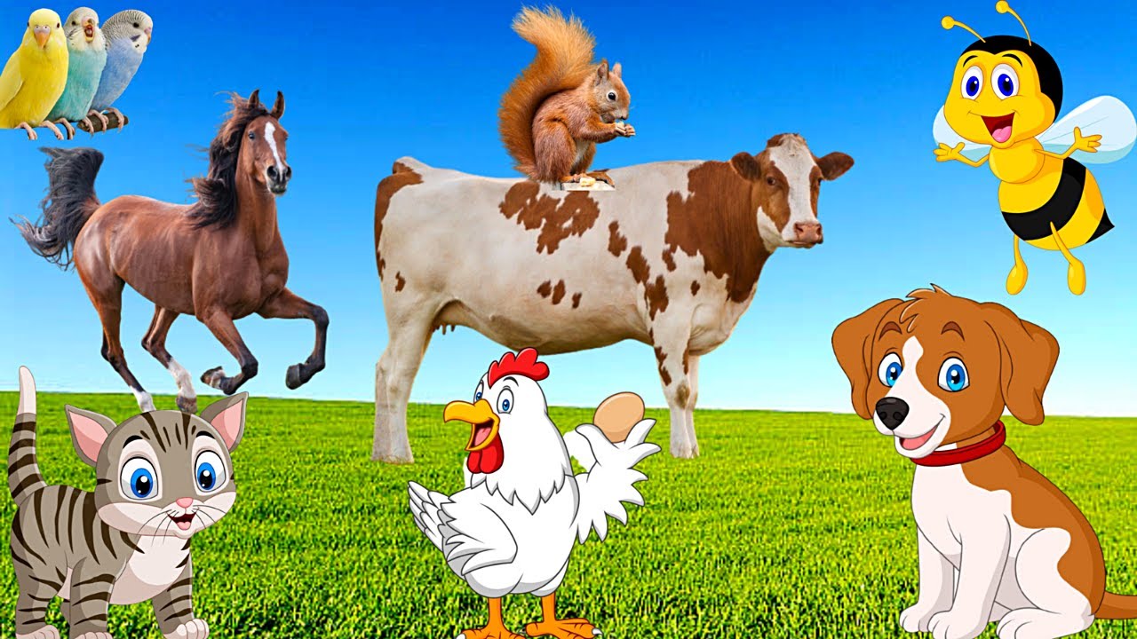 Familiar Animals Around Us - Horse, Cow, Cat, Dog, Chiken - Sound of ...