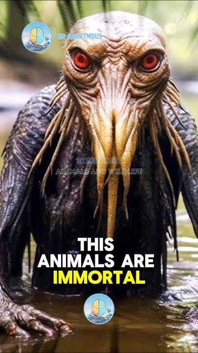 Top 3 IMMORTAL Animals That Defy DEATH | Animals That Will Not Die ...