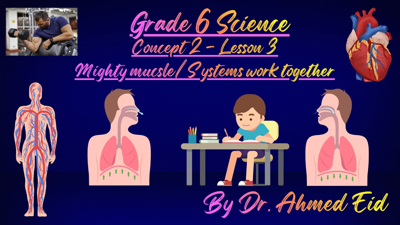 Grade 6 Science - Concept 2 - The Body As A System [Lesson 3] شرح الدرس ...