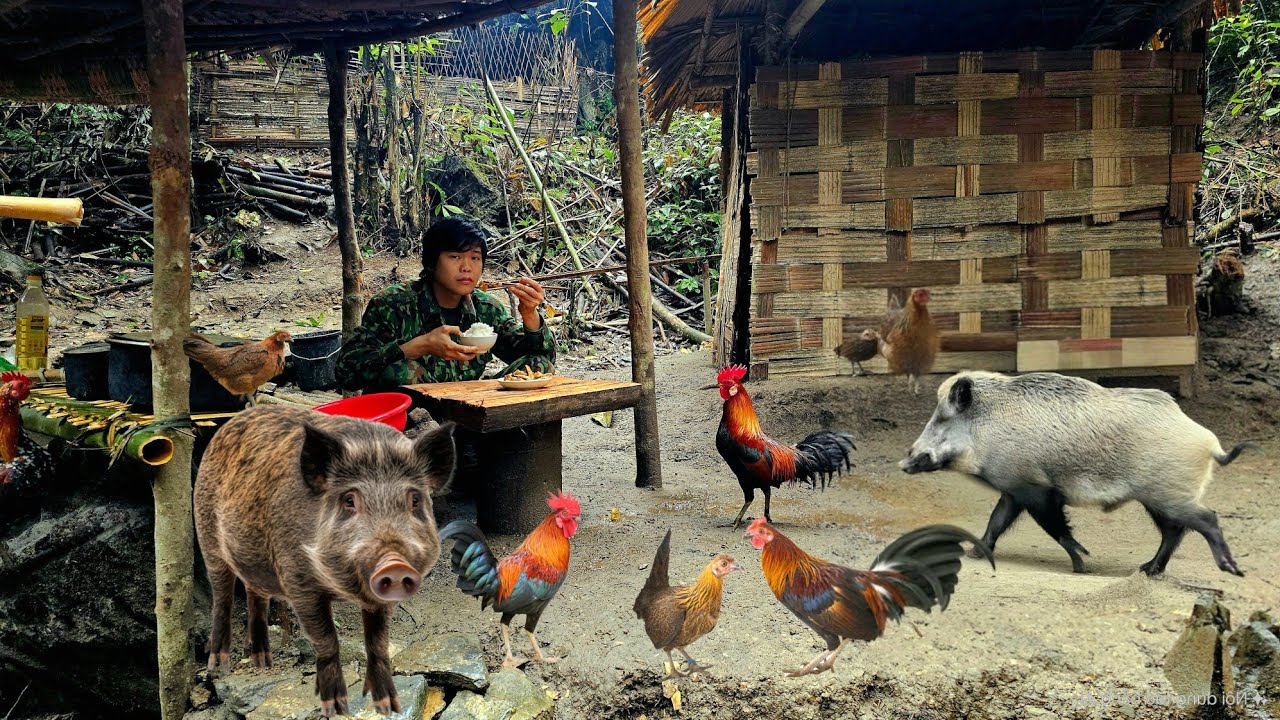 farm in the forest, observation skills, traces of wild animals, set ...