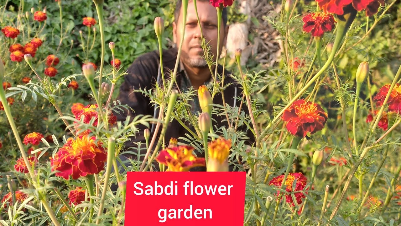 Sabdi flower garden.bondor,Narayanganj.Date:09/02/24 - YouTube