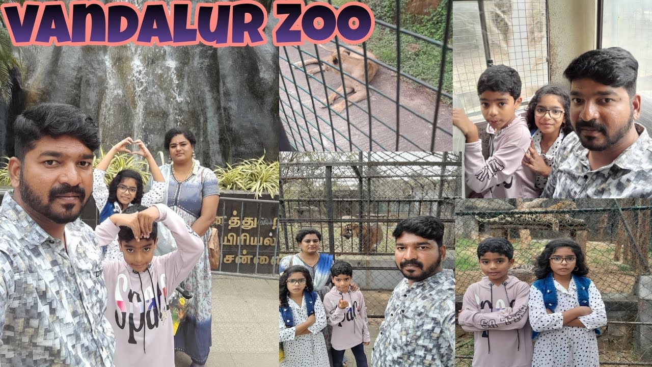 VANDALUR ZOO |PlzSubscribe #trendingnow #vandalurzoo #chennai #viral # ...