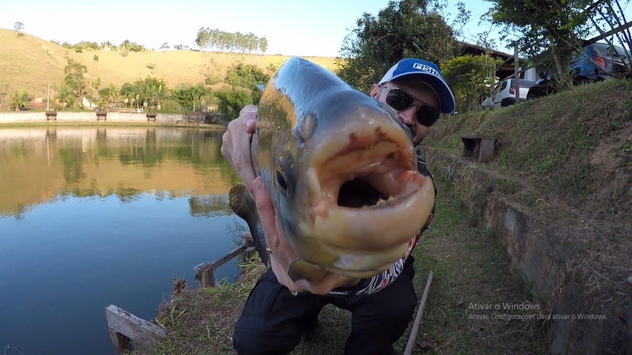 PESCARIA DE PACU no pesqueiro alvorada - YouTube