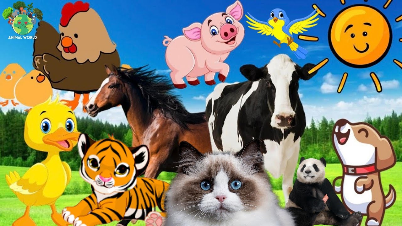 4K FUNNY ANIMAL MOMENTS HORSES, DOGS, COWS, CATS, DUCK | WILD ANIMALS ...