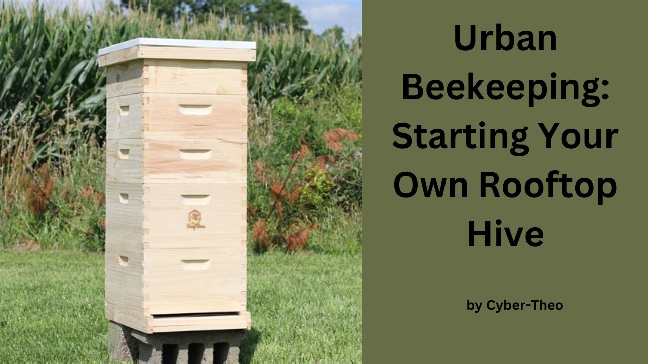 Urban Beekeeping Starting Your Own Rooftop Hive - YouTube