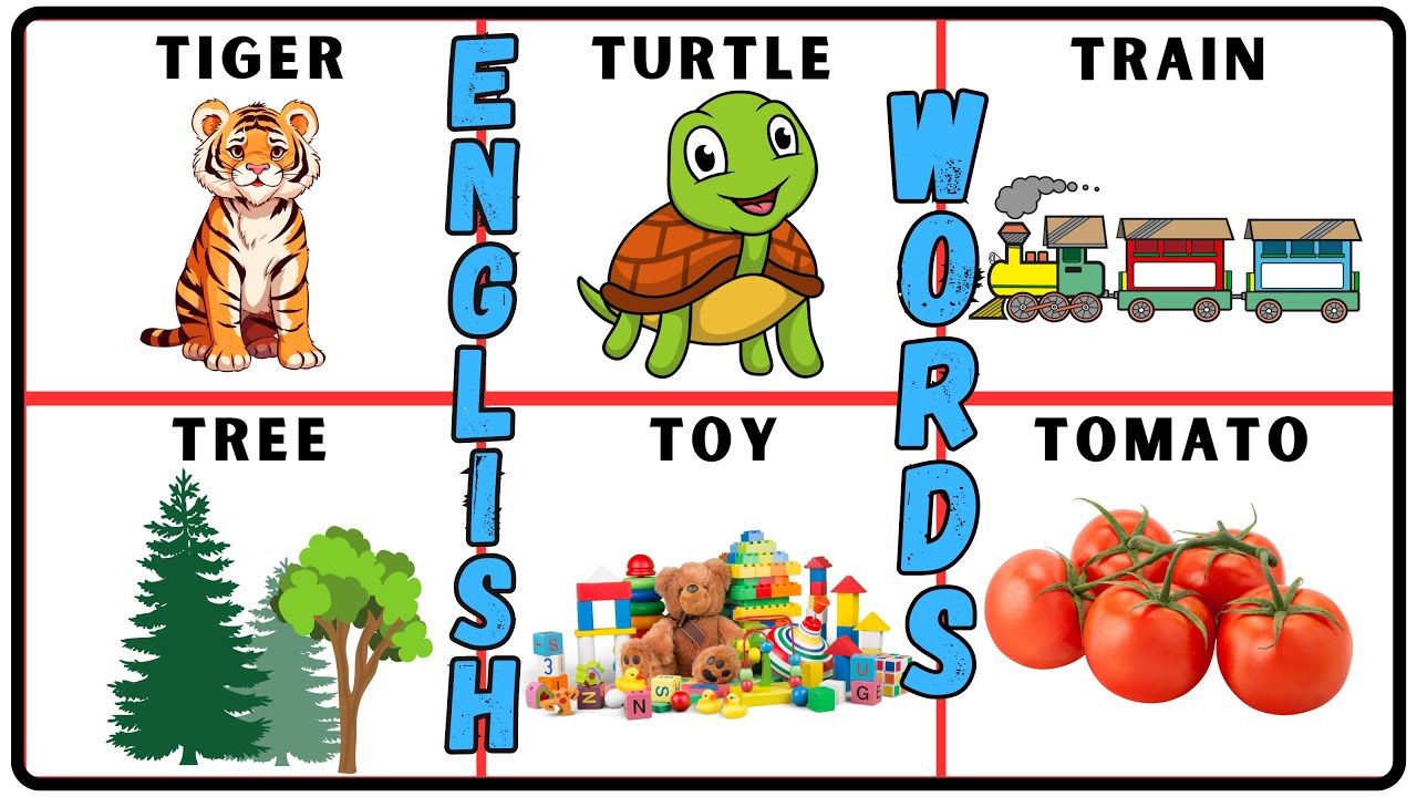 My First Words - Learn Basic English Vocabulary - Picture Words - YouTube