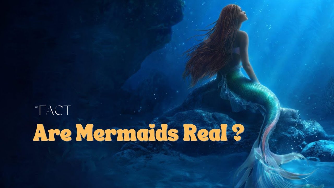 Are Mermaids Real ? The Most Famous Document - YouTube