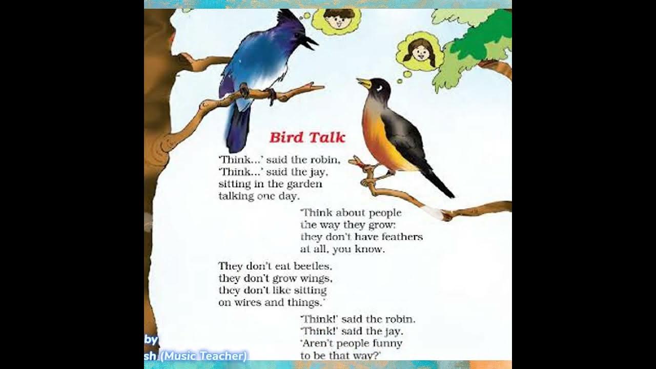 Bird Talk Class 3 YouTube bird-talk-class-3-youtube