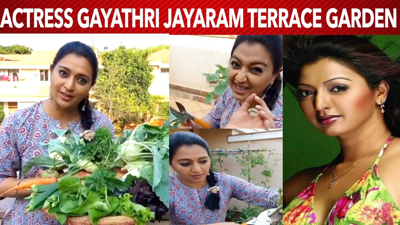 Actress Gayathri Jayaram House Terrace Garden Tour Video | Inside the House | Dont Miss it - YouTube