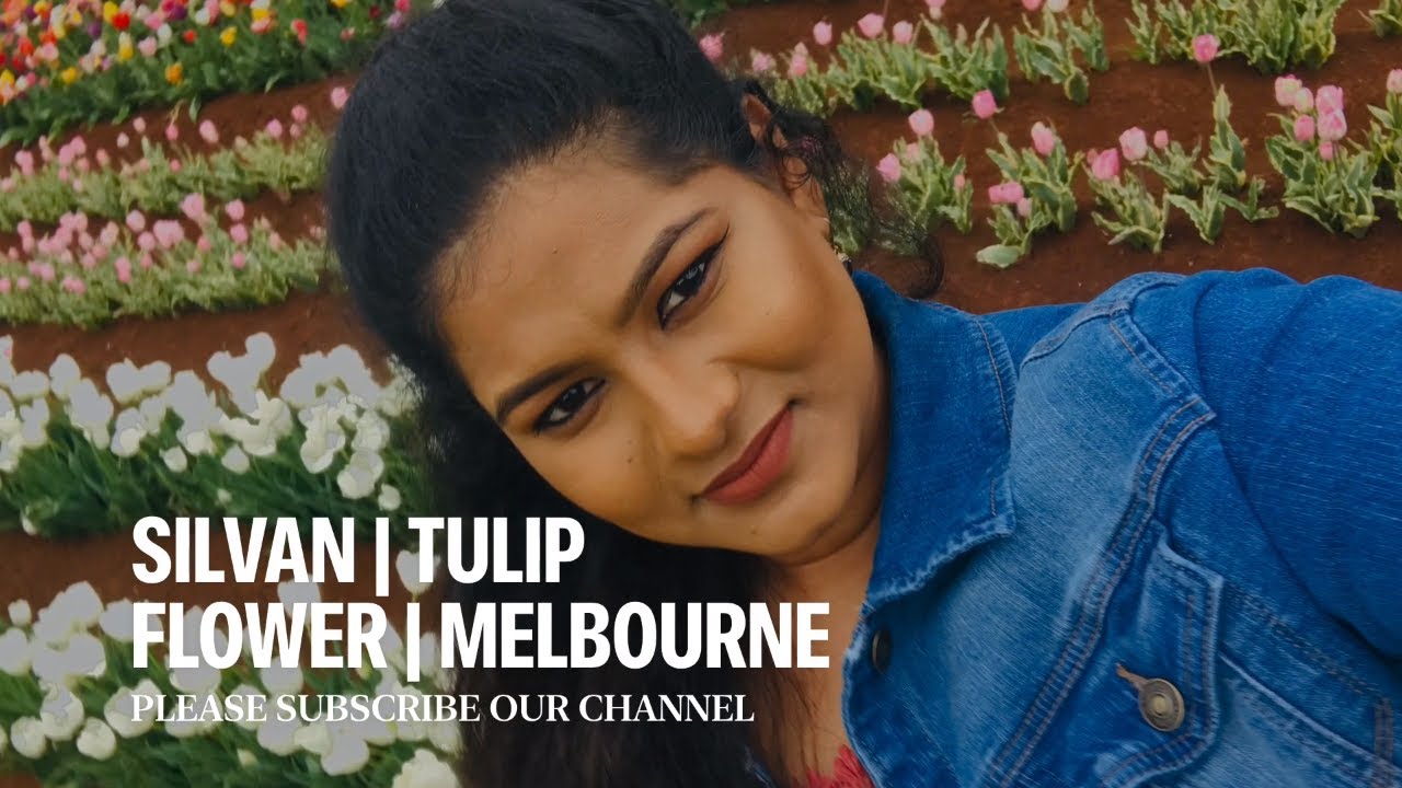 SILVAN | TULIP FLOWER | MELBOURNE - YouTube