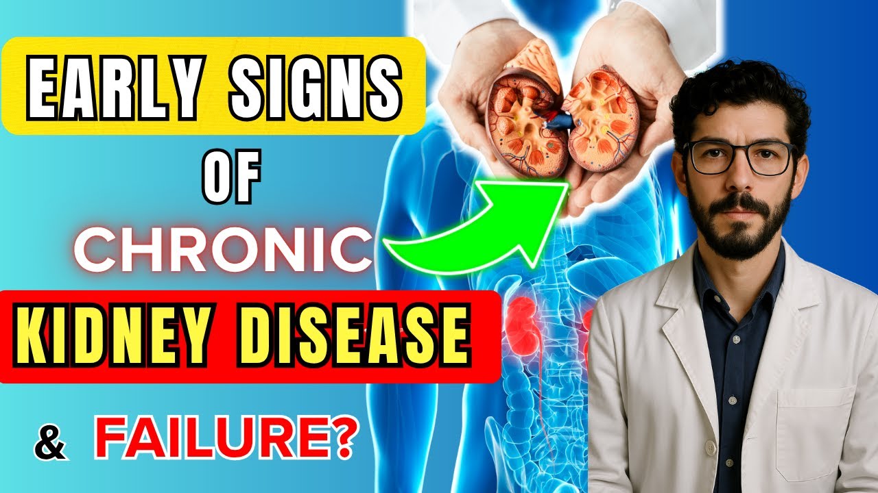 What Are the Silent Warning Signs of Chronic Kidney Disease and Kidney ...