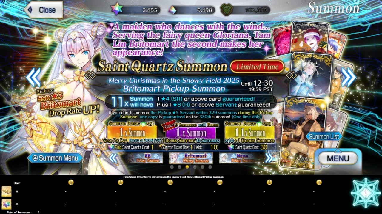 Fate/Grand Order - Merry Christmas in the Snowy Field 2025 Britomart ...