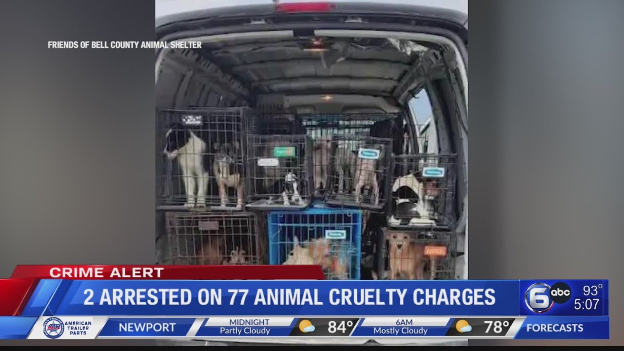 2 arrested on 77 animal cruelty charges - YouTube