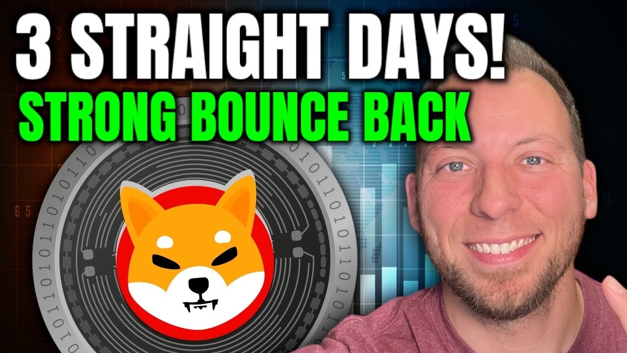 SHIBA INU - 3 STRAIGHT DAYS!!! BOUNCING BACK STRONG! - YouTube
