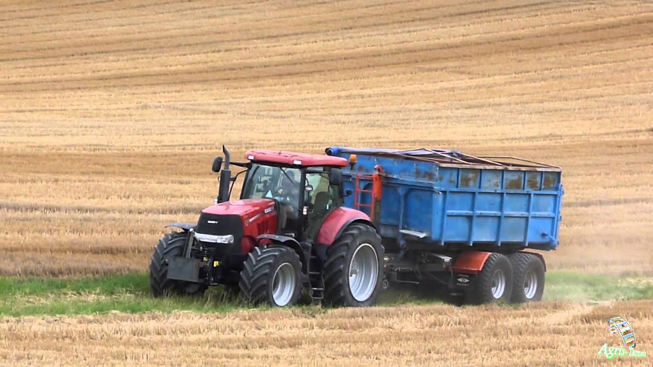 Puma 195 Cvx - Sound - YouTube