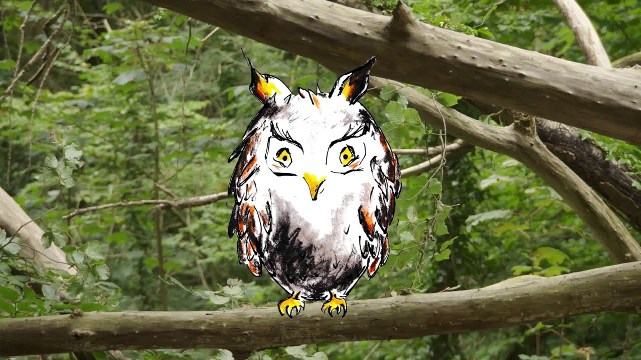 Dawns Tylluan gyda Kim a Cêt a Twrch! | The Owl Dance from Cyw Welsh ...