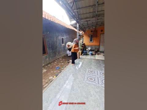 Cewek Cantik Di Kejar Can Macanan - YouTube