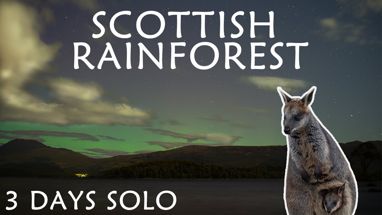 3 Days Solo Camping in the Scottish Rainforest | Kayaking, Northern ...