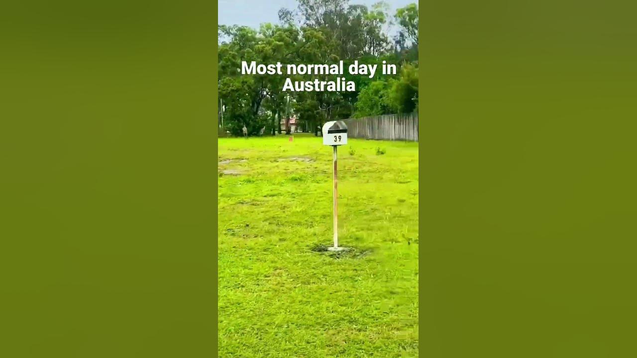 Normal Days In Australia Be Like shorts YouTube normal-days-in-australia-be-like-shorts-youtube