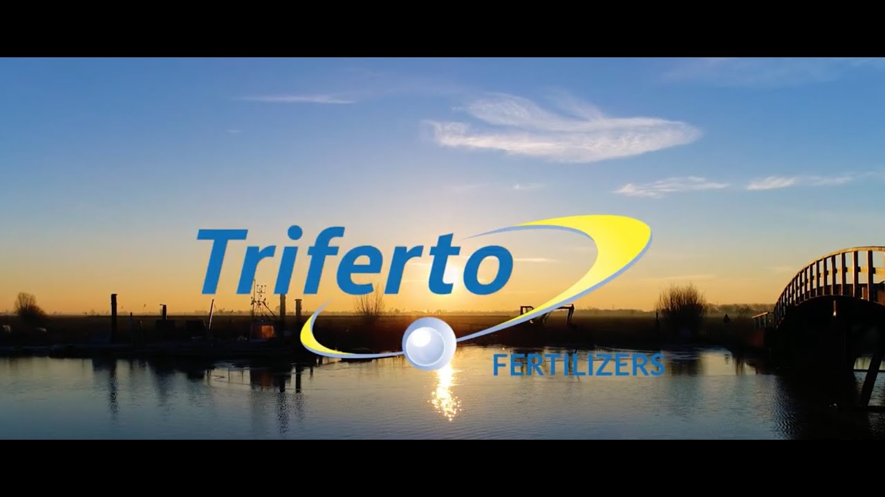Organisatie | Triferto
