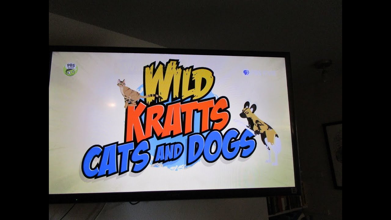 Wild Kratts - Cats and Dogs - YouTube