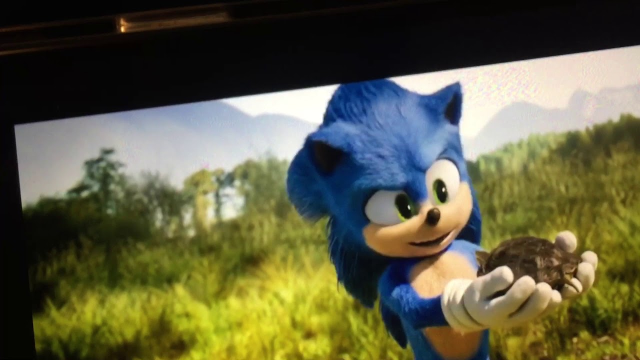 Sonic movie turtle 🐢 🦔💨 - YouTube