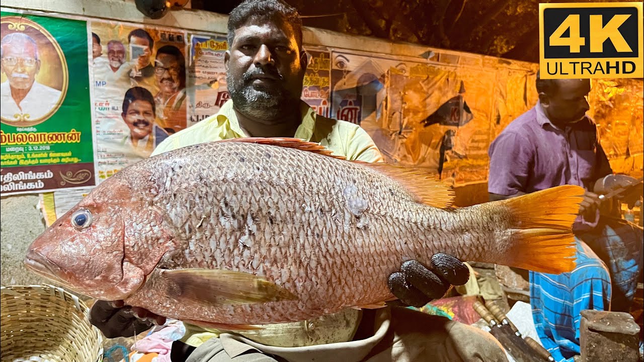 Othadi fish cutting video/Fishcuttingrs #fishcuttingrs #kasimedu #fish ...