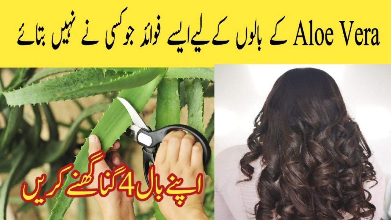 remedy to solve hair problems|5 best remedies to solve hair problems ...