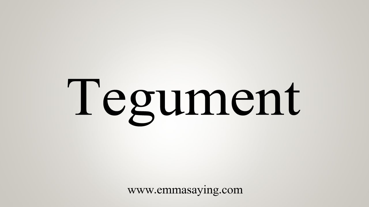 How To Say Tegument - YouTube