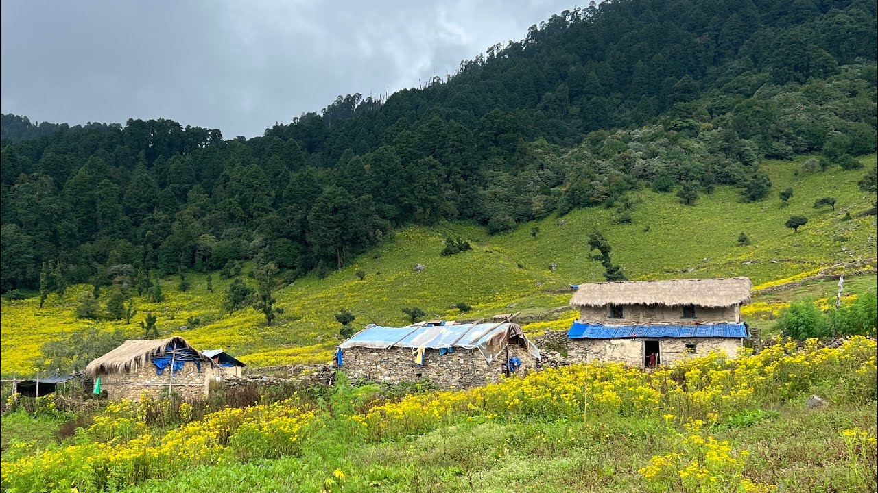 Simple Nepali Rural Village Life in Mountain Nature [Far from ...