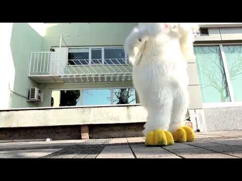 Popeyes Kuş Reklamı Terbiyesiz tavuktan kuşlara rahat yok   720p