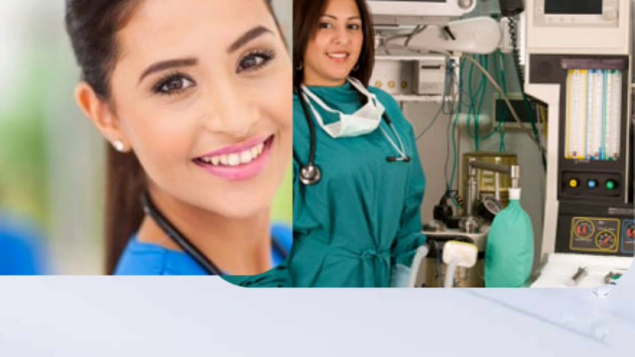 Needle Shark Video - YouTube