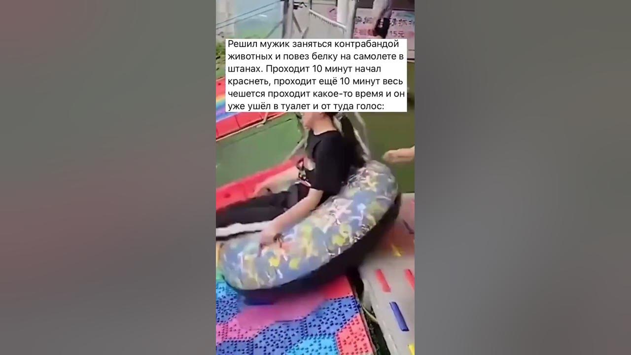ЗАСУНУЛ КАК-ТО МУЖИК БЕЛКУ В ШТАНЫ... АНЕКДОТ #юмор #приколы #анекдоты ...