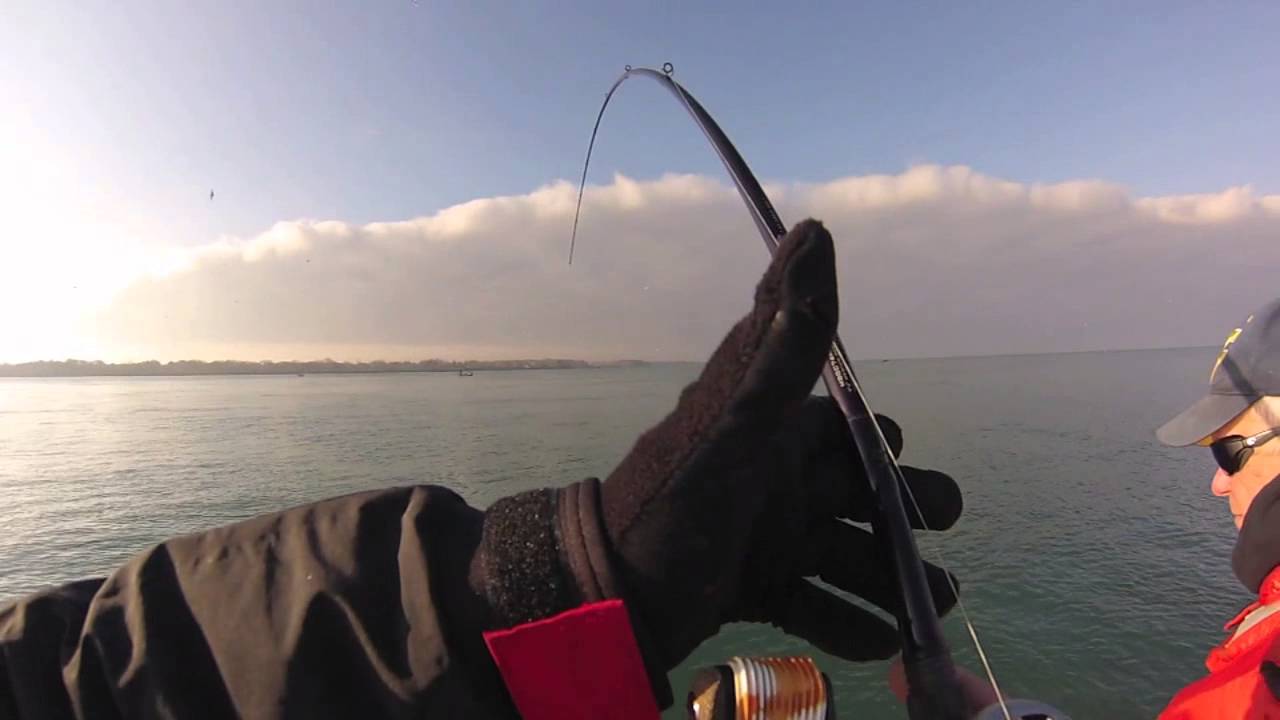 Lake Ontario Niagara Bar Jigging trout - YouTube