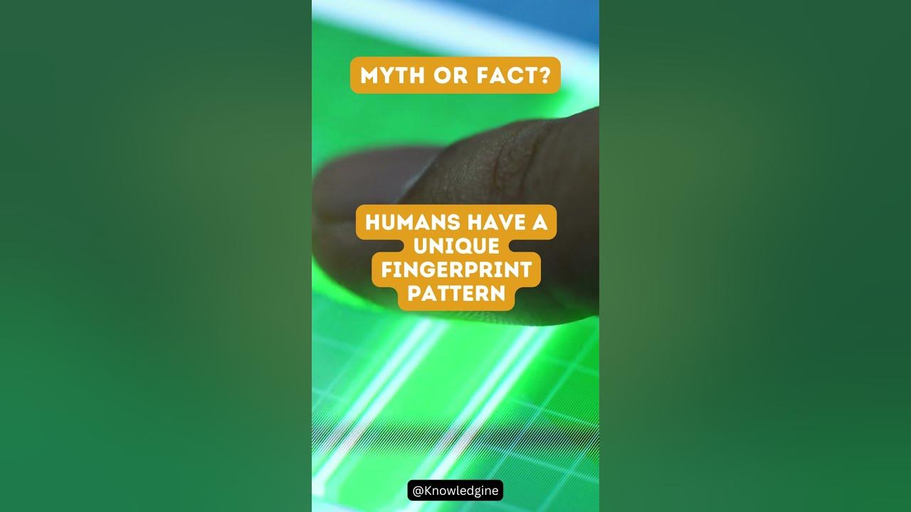 Myth Or Fact YouTube myth-or-fact-youtube