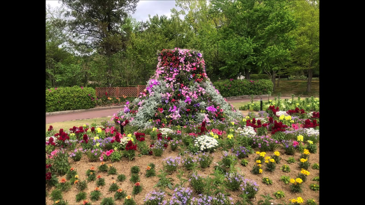 懐かしのオールディーズ15曲 - YouTube Music