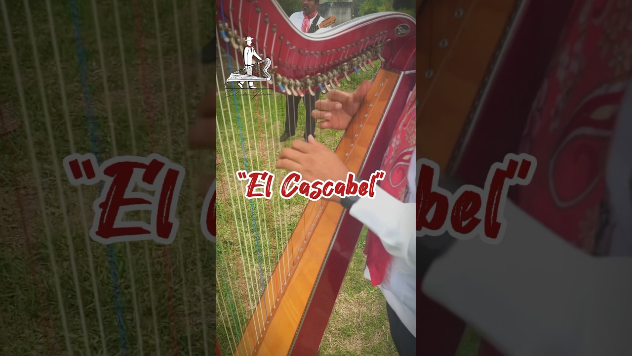 “Si mi cascabel sonara…” 🎵🎶🔥 #ArpistaVeracruzano - YouTube