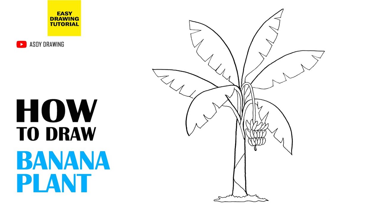 How to Draw Banana Plant - YouTube