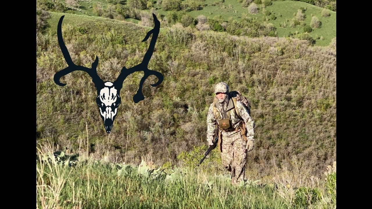 2020 UTAH TURKEY HUNT (Opening Day Action) - YouTube