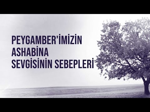 PEYGAMBERİMİZ'İN ASHABINA SEVGİSİNİN SEBEPLERİ NELERDİR?