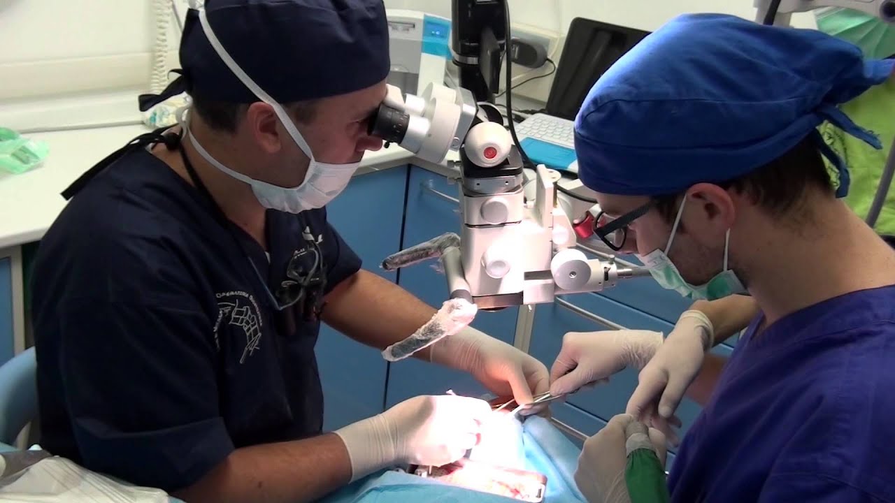 One to one hands on micro surgery course - YouTube