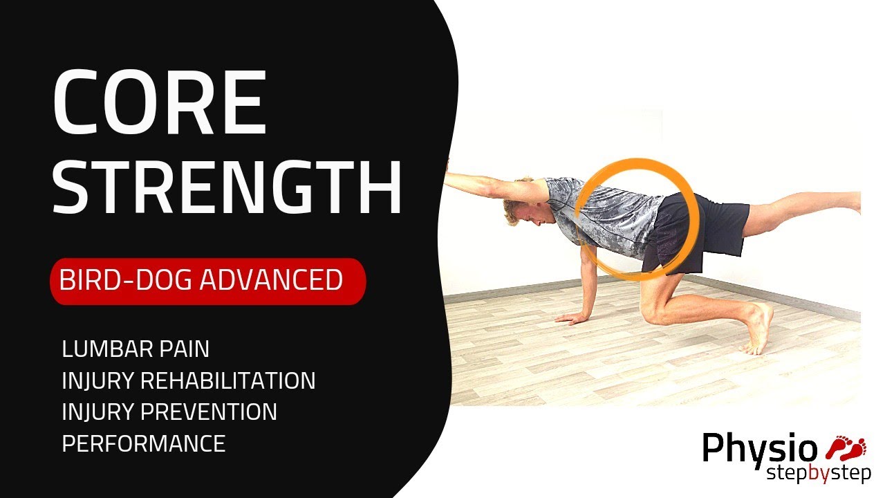 CORE STRENGTH - Bird Dog Advanced (117) - YouTube