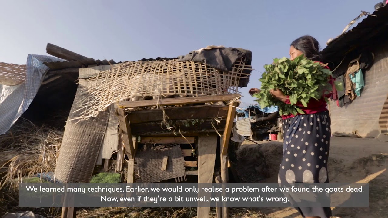 JICA Nepal Livelihood Recovery Program. - YouTube