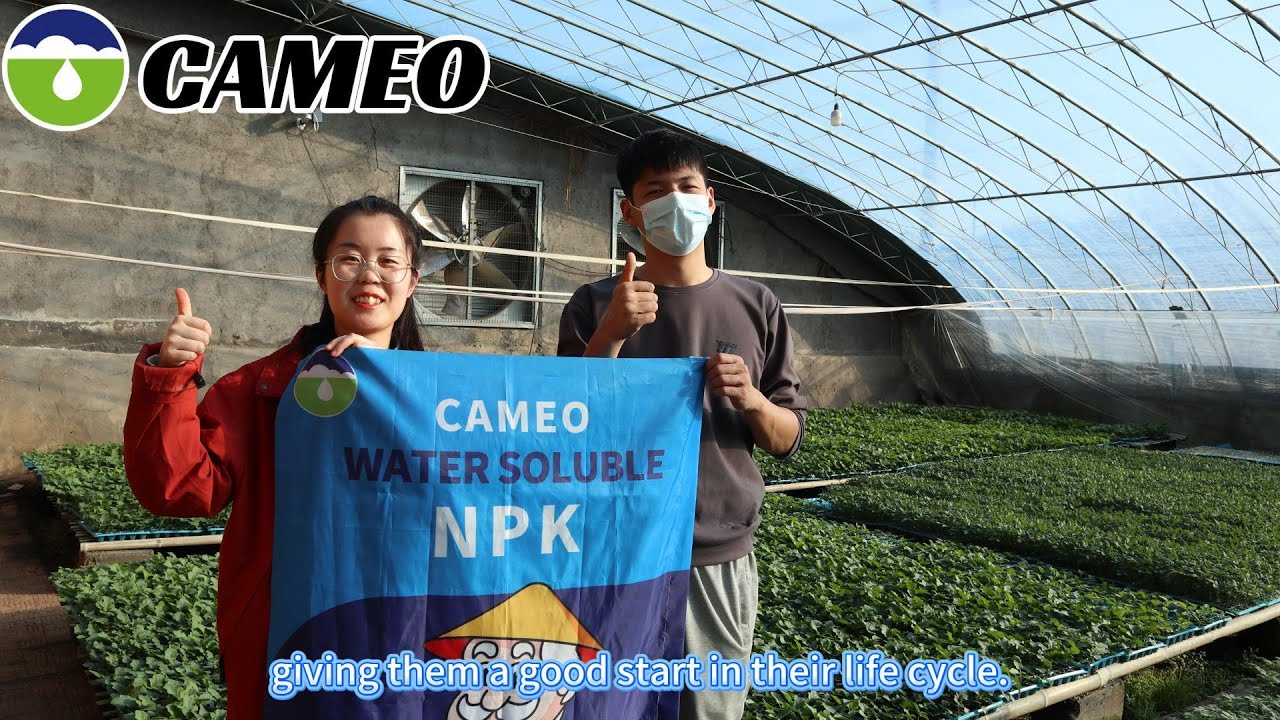 CAMEO and the Seed - ling Nursery Base Partnership in Shouguang - YouTube