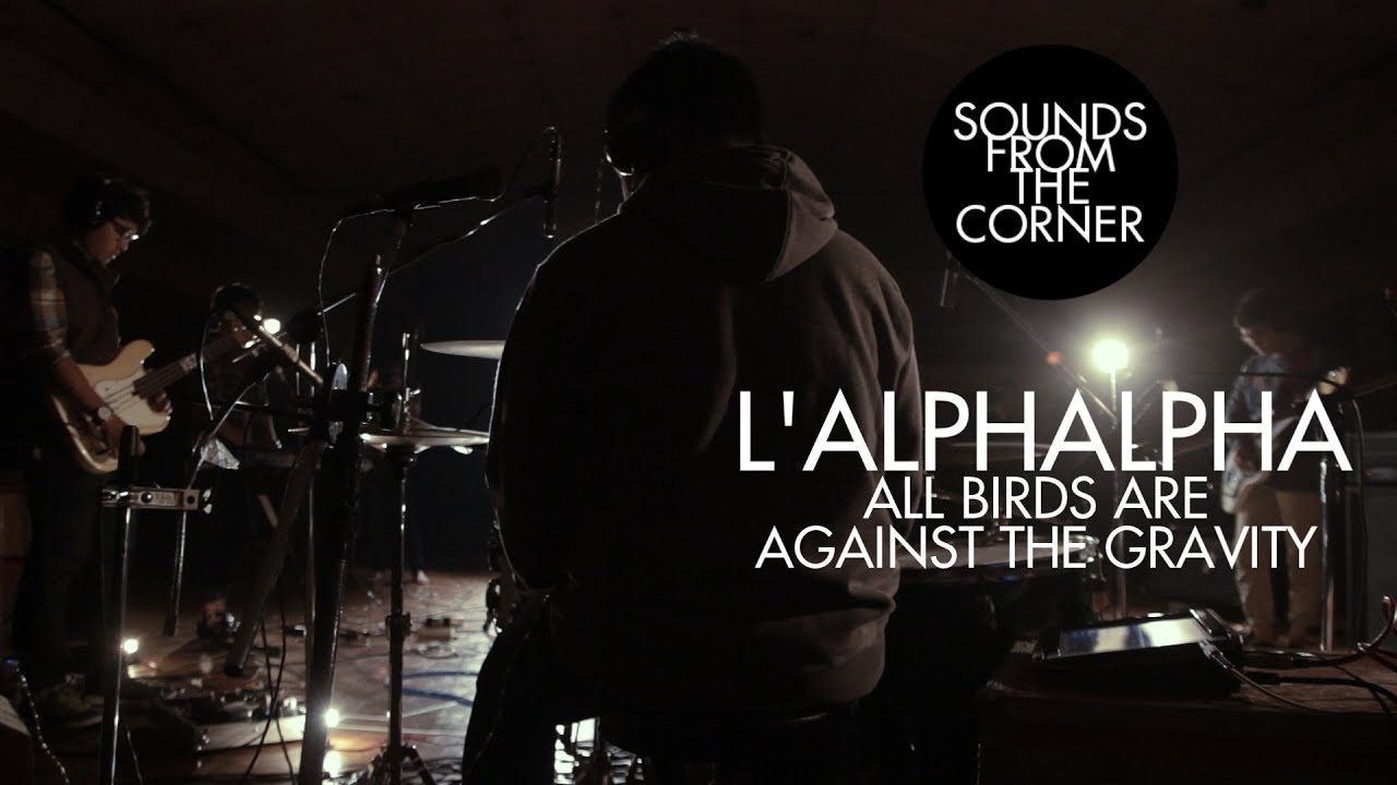 L'alphalpha - All Birds Are Against The Gravity | Sounds From The ...